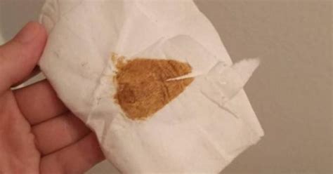 I Wiped My Ass And It Looked Like The Millennium Falcon May The Force I Wiped My Ass And It Looked Like The Millennium Falcon May The Force