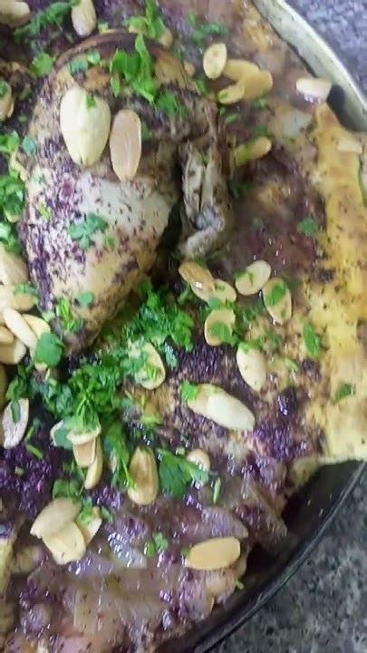 مسخن دجاج Youtube