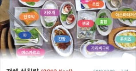 폰으로 찍으면 음식 종류·칼로리 한눈에손안의 영양관리사