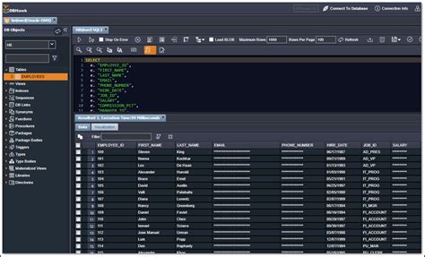 Dynamic Data Masking With Sql Databases Dbhawk