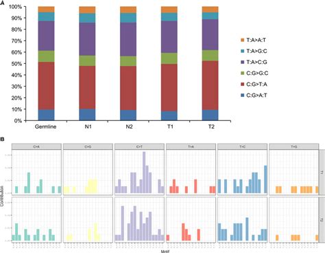 Somatic Mutation Pattern A In Each Sample And Mutation Signatures In