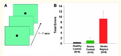 Basic Sustained Attention Task A Subjects Responded By Pressing A Download Scientific