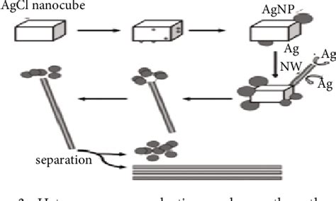Figure 3 From Polyol Silver Nanowire Synthesis And The Outlook For A