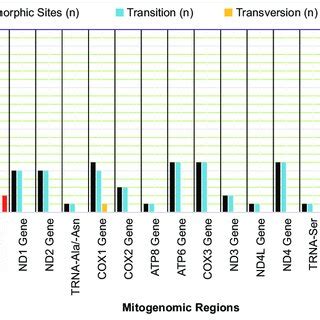 The Number And Location Of Polymorphic Sites And Polymorphism Types Download Scientific Diagram