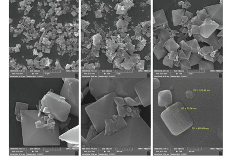 Scanning Electron Microscopic Micrographs Of Selenium Nanoparticle Download Scientific Diagram