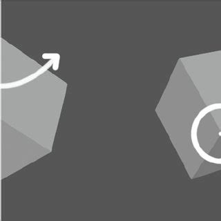 Experiment The Y Axis Of Rotation Left And The Z Axis Of Download Scientific Diagram