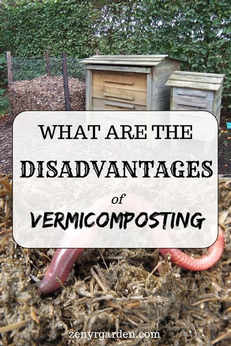 The Possible Disadvantages Of Vermicomposting