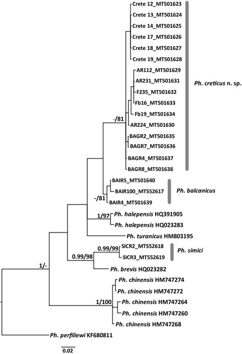 Bayesian Inference Phylogenetic Tree Including Posterior Probabilities Download Scientific