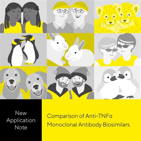 Learn About Ique®️ Advanced Flow Cytometry Platform Ique® High Throughput Screening Hts By