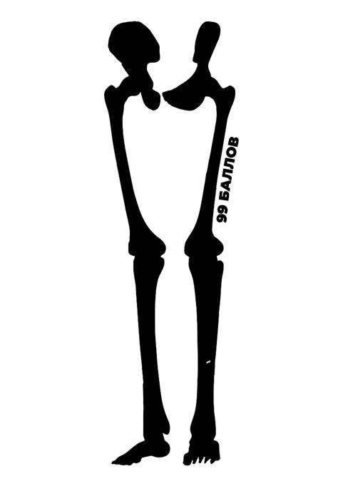 Под каким номером изображена осевая часть скелета человека