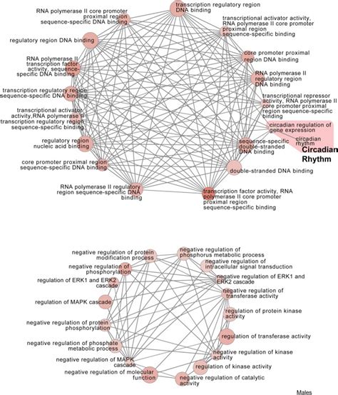 Sleep Deprivation Alters The Pituitary Stress Transcriptome In Male And Female Mice Pmc
