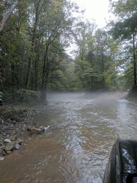 Phillip Michael Davis