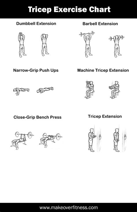 Triceps Workout With Dumbbells Chart Eoua Blog