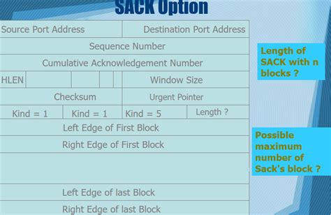 sack dsack 相关介绍 codestacklinuxer 博客园