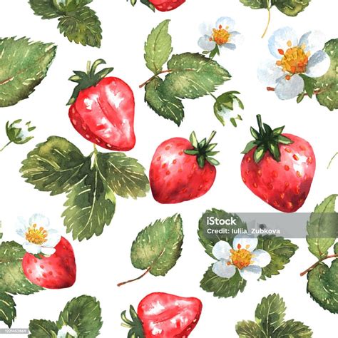 수채화의 열매 원활한 패턴 빨간 딸기 잎과 꽃 다채로운 배경 자연 그림 봄 꽃입니다 인쇄 및 카드 컬렉션입니다 벡터 0명에 대한 스톡 벡터 아트 및 기타 이미지 Istock