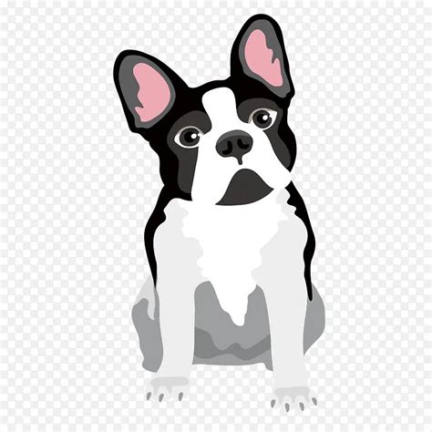 憨厚老实的斗牛犬PNG图片素材下载 图片编号qdkkmbly 免抠素材网