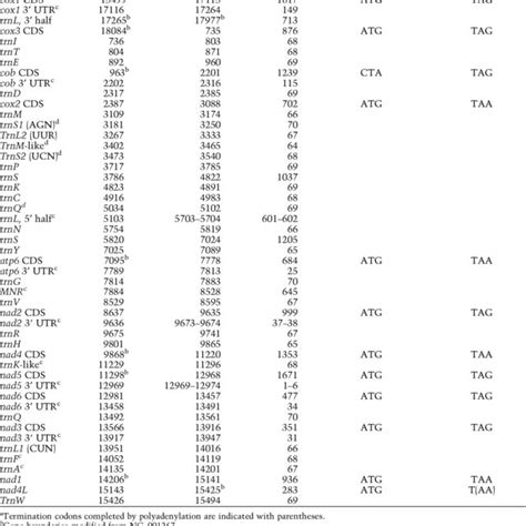 Crassostrea Gigas Mitochondrial Genome Modified From Genbank Nc001267