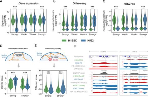 Integration Of Multi Modal Genomics Data Demonstrates The Functional Download Scientific