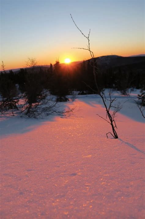 Sunset Near Fairbanks By Bruce Irwin Nelles Beautiful Landscapes Scenery Sunset