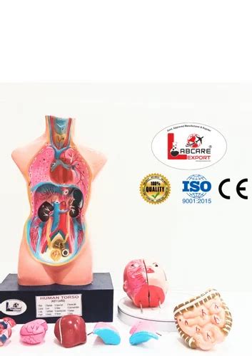 Labcare Export Medical Equipments Menufacture Mumbai 67ght At ₹ 2500