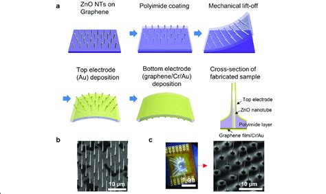 Fabrication Of Zno Nanotube Based Pressure Sensors A Schematic Download Scientific Diagram