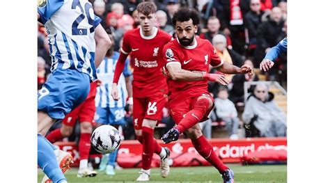 محمد صلاح يقود ليفربول للفوز على برايتون صحيفة الخليج