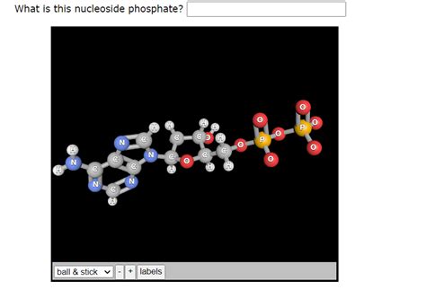 Solved What Is This Nucleoside Phosphate
