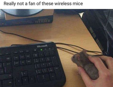 Gosh Dang Wireless Mice Rmemes Know Your Meme