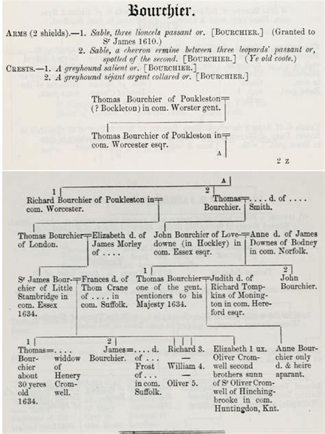 Elizabeth Bourchier Cromwell Abt 1598 Bef 1665 Wikitree Free