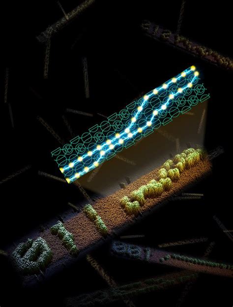 Computer Scientists Create Reprogrammable Molecular Computing System