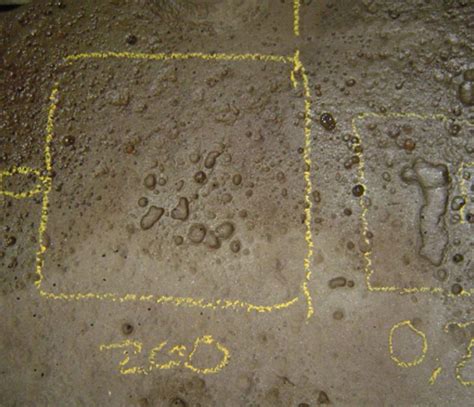 Corrosion Influenced By Microbiological Processes