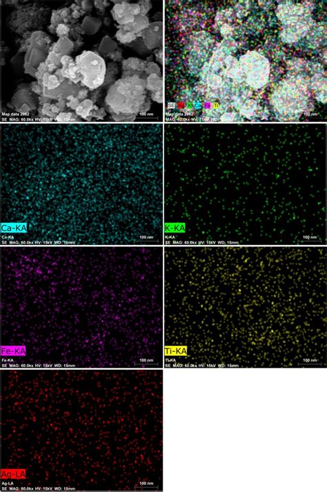 Sem Edx Mapping For Ag Kf 20 Caohc Fe3o4 Tio2 400 Download Scientific Diagram