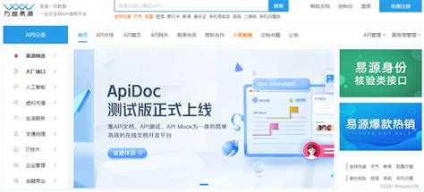 国内领先的十大api接口排行高级的开放api Csdn博客