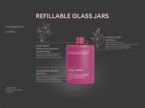 Routine Shampoo The Ultimate Guide To Healthy Hair