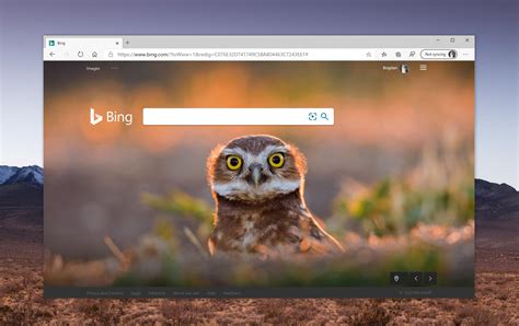 New Microsoft Edge Dev Update Released With Dark Theme Improvements Softpedia