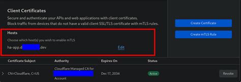 Home Assistant App Through Cloudflare Tunnel With Auth Android Page 3 Mobile Apps Home