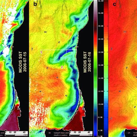 Sea Surface Temperature Fields • C Derived From Modis Data A And Download Scientific