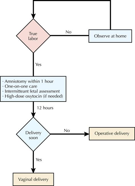 Active Management Of Labor Clinical Tree
