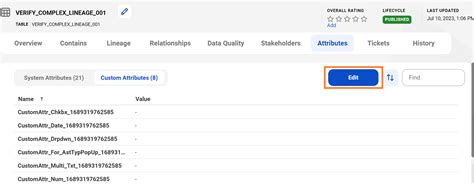 Custom Attributes For Assets