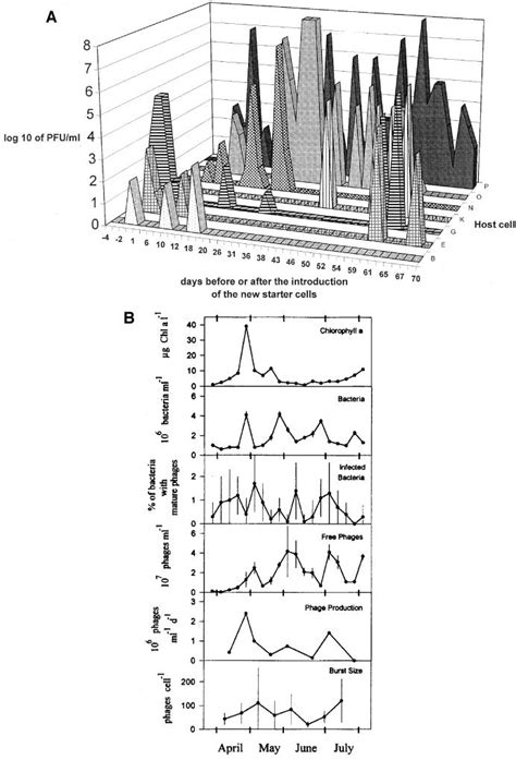 Phage Host Interaction An Ecological Perspective Pmc