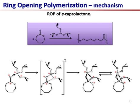 Polyolefins Catalysis And Dedicated Analysis Ppt Download