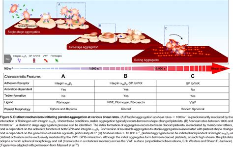 Figure 5 From The Growing Complexity Of Platelet Aggregation Semantic Scholar