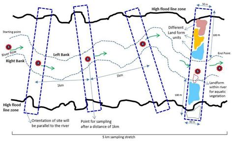 A Pictorial Representation Of The Sampling Strategy For Vegetation Download Scientific Diagram