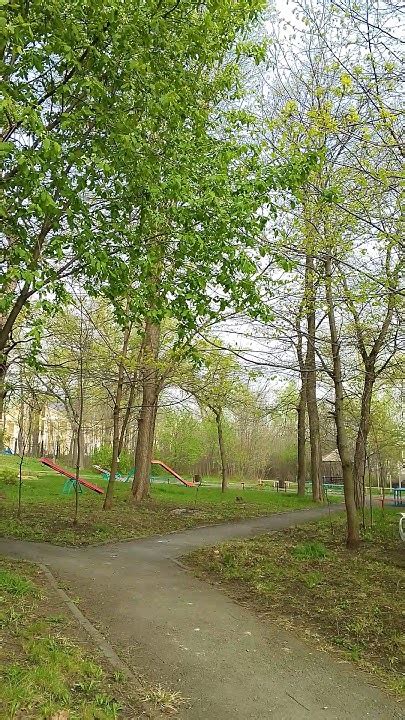 Дворик на ул Шкатова Г Липецк 17 04 2024г Youtube