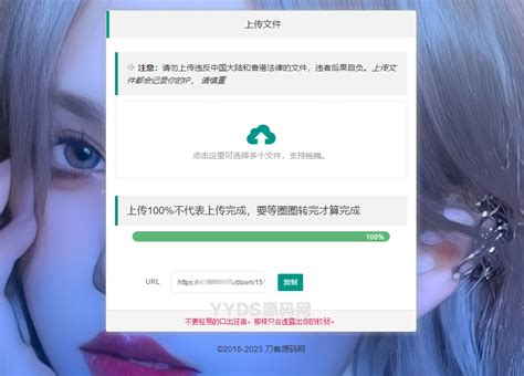 2023最新临时文件上传存储分享系统 临时文件网盘系统源码 yyds源码网