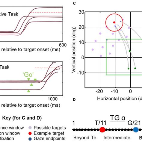 Spatial Analysis Of Visual Activity During Reactive Task Left Column Download Scientific