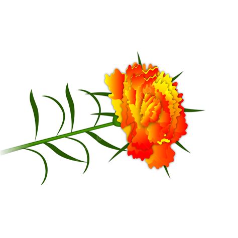 Diseño De Ramas De árbol De Flor De Clavel De Color Naranja Png árbol Diseño De Ramas De árbol De Flor De Clavel De Color Naranja Png árbol