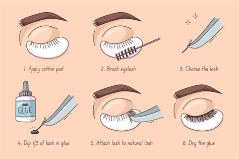 Makeup Application Step By Step Instructions