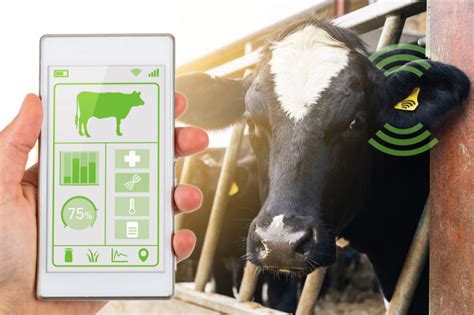8 Smart Methods For Dairy Cow Mastitis Detection Dairy Global