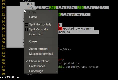 Copying Text Outside Of Vim With Set Mousea Enabled Design Corral